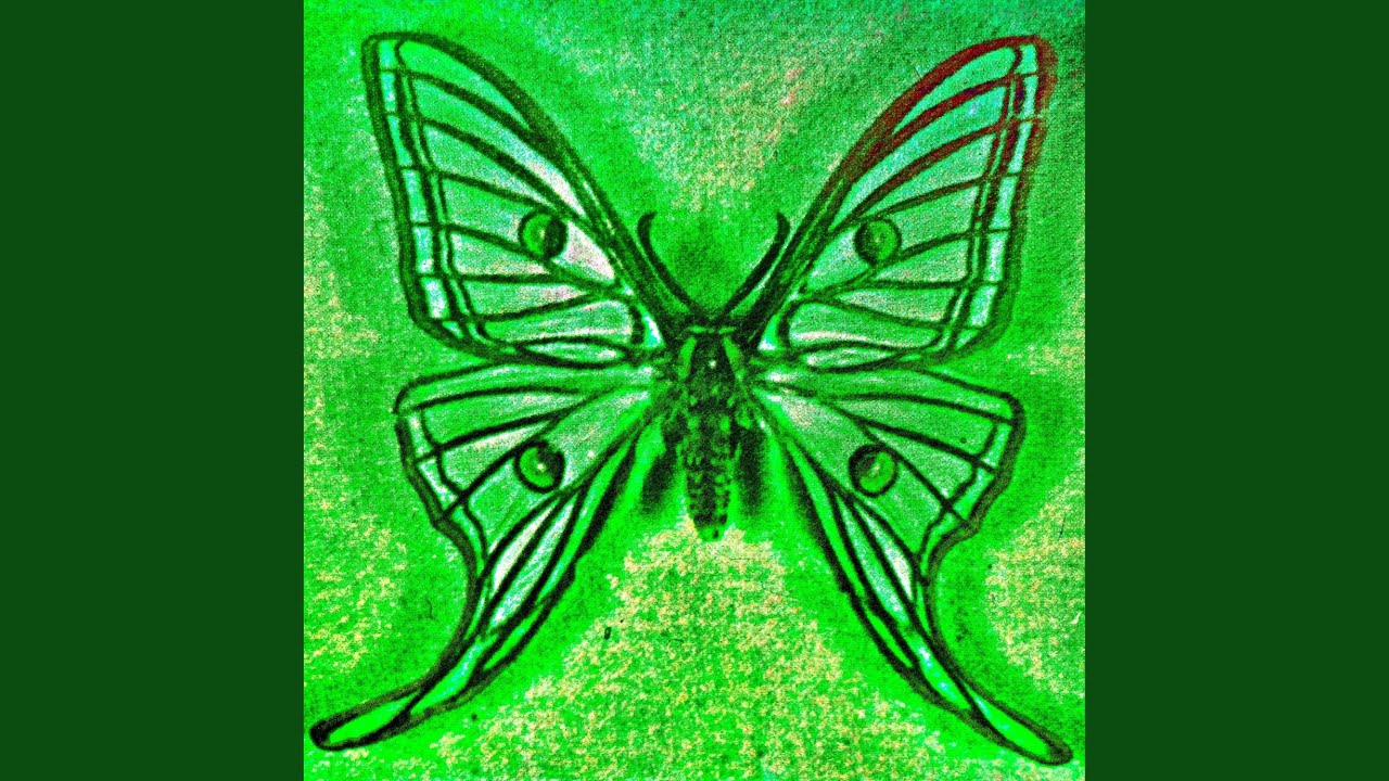 Transients - YouTube Transients - YouTube