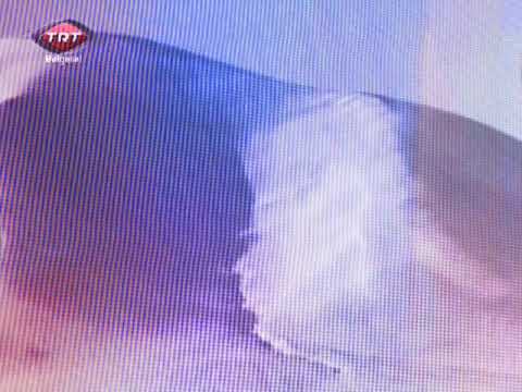 TRT Belgesel - TRT 4 (TV kaydı 2010 VHS 4:3) Nette ilk.