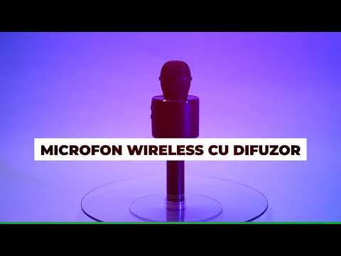 Megareducere ro Microfon karaoke