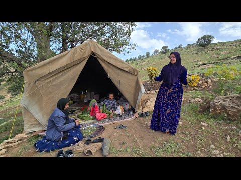 🏕️❄️ Nomadic migration of Kulthum and Bazegasht | Journey to the land of cold 🏔️