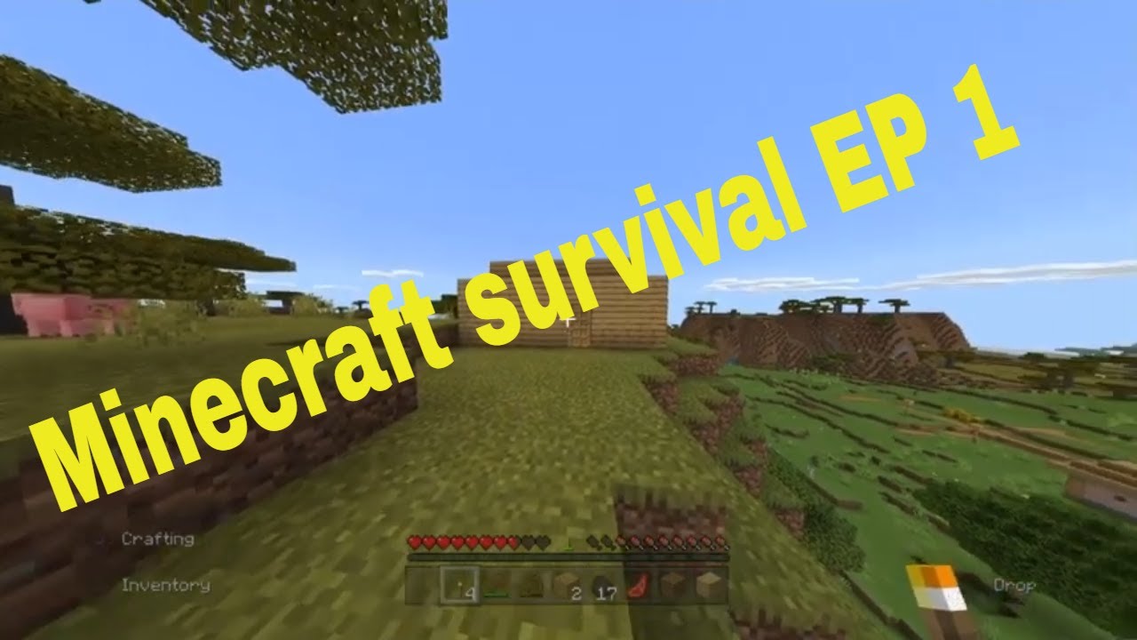 MINCRAFT EPISODE 1 - YouTube