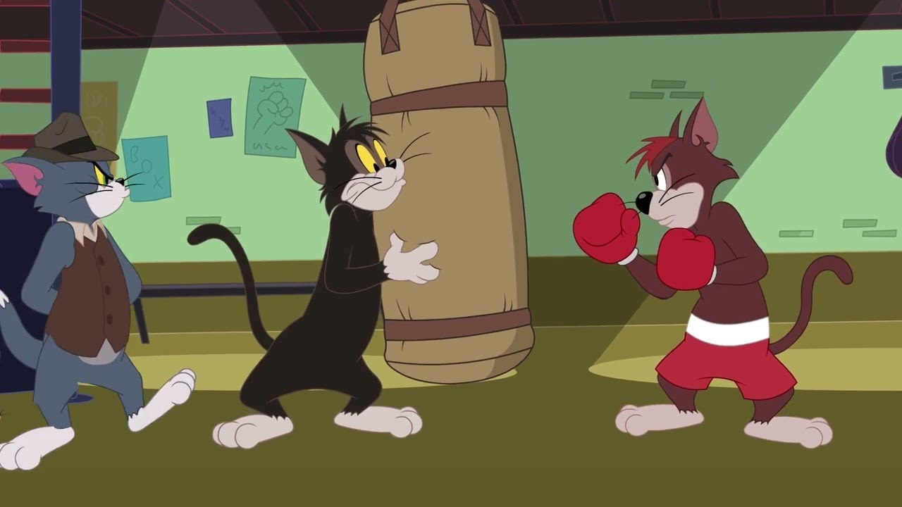 Cat Dance Fever - YouTube