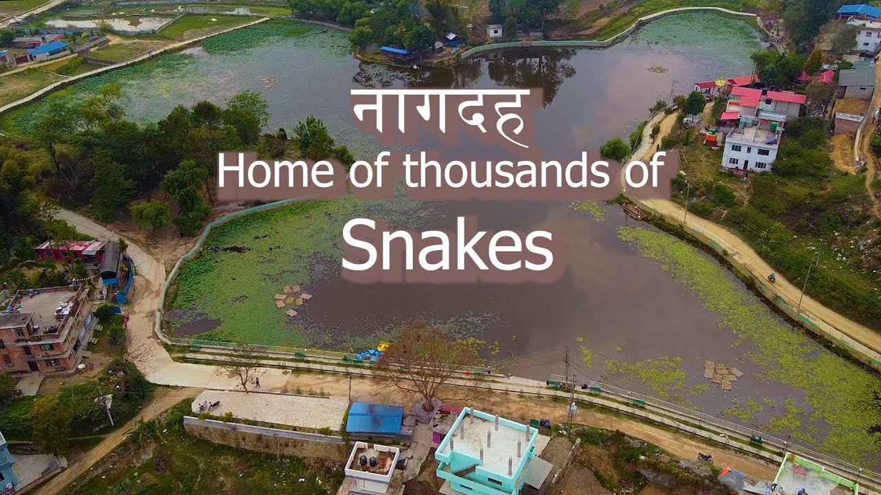 ‘The Snake Lake’- नागदह Lake of Kathmandu Valley - #Nagdaha #Dhapakhel ...