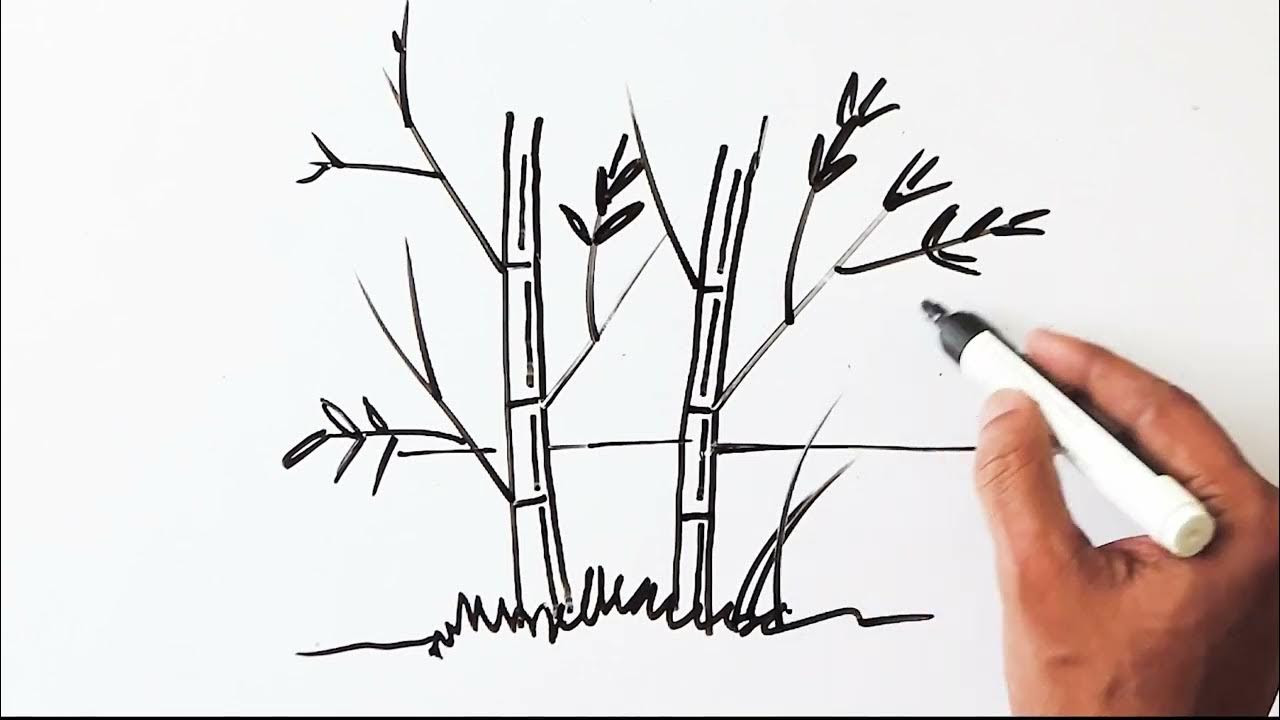 How to draw bamboo step by step | bamboo drawing - YouTube