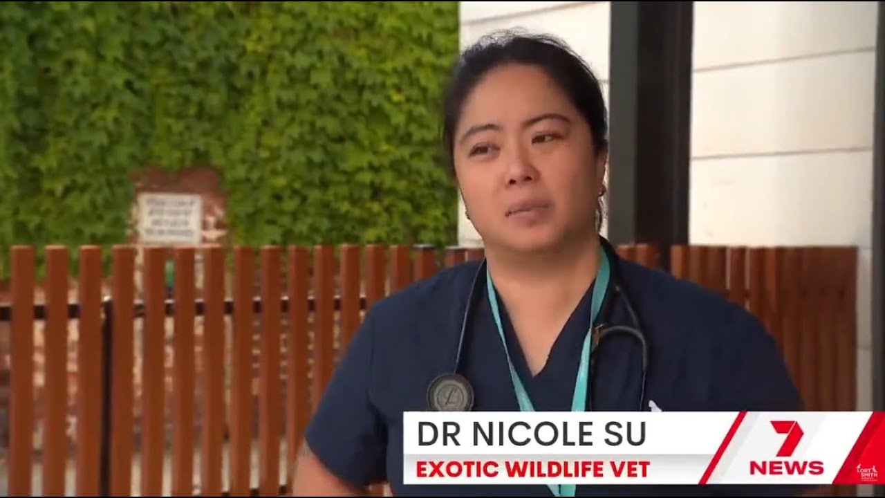 Channel 7 - Fox attacks - YouTube