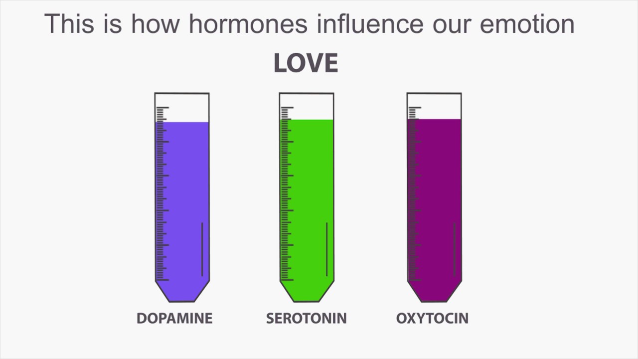how hormones influence our emotion - YouTube