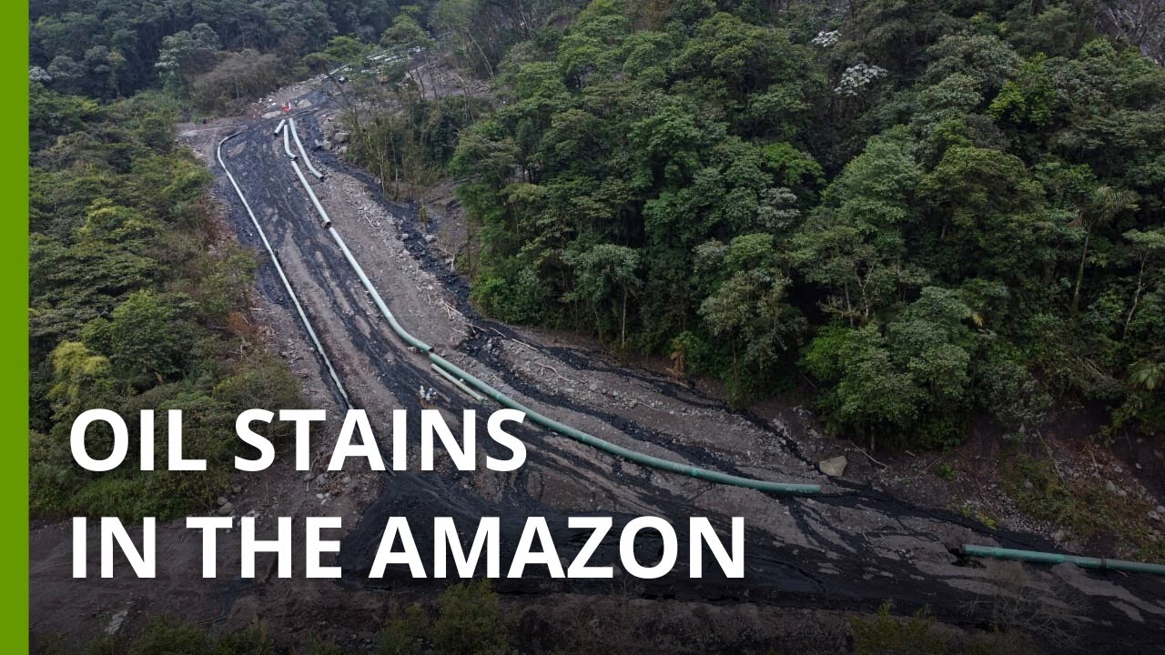 Oil spills, impunity and abuses in the Amazon - YouTube