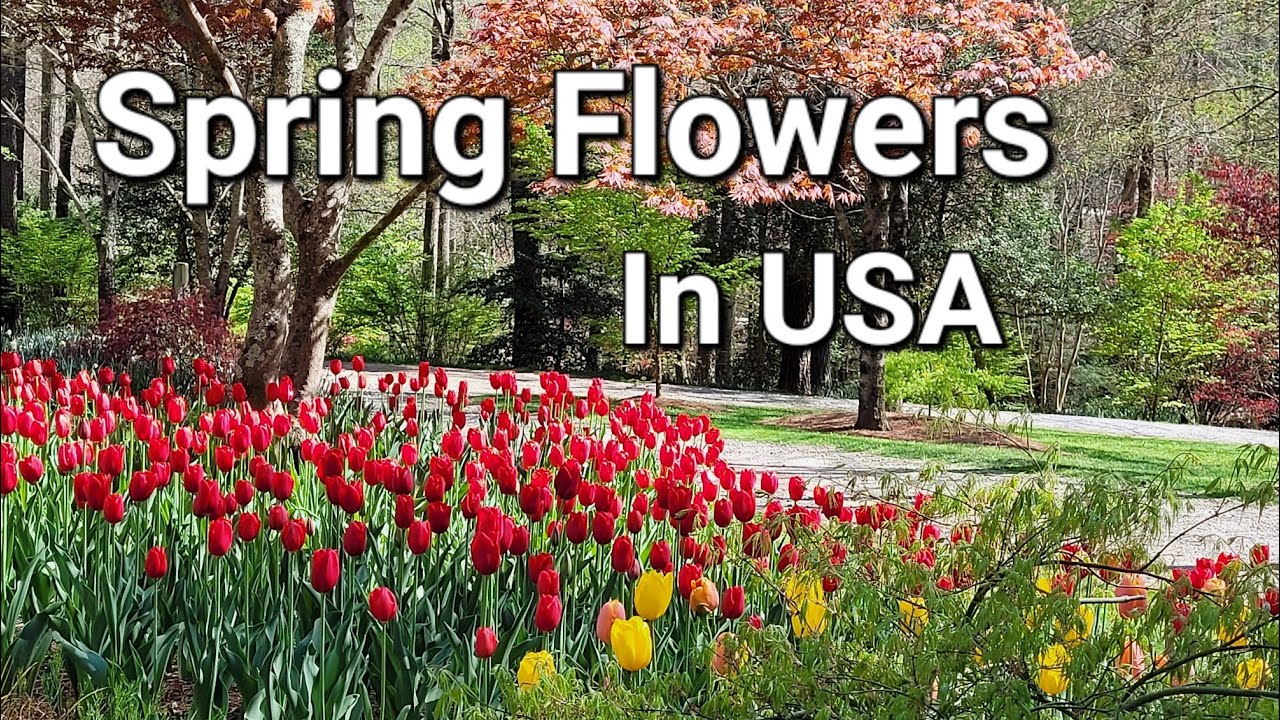 Spring Flowers. Atlanta. - YouTube