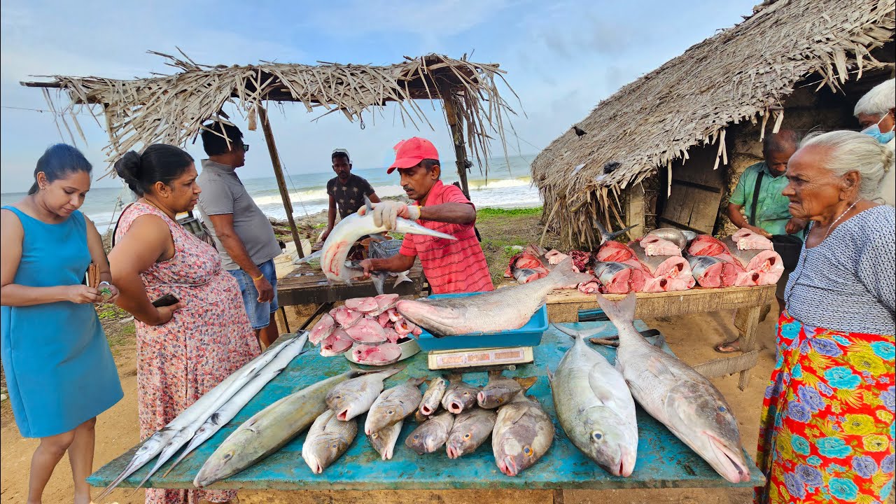 Interesting!! greatest Village Fish Street Fish Market And Super Fish ...
