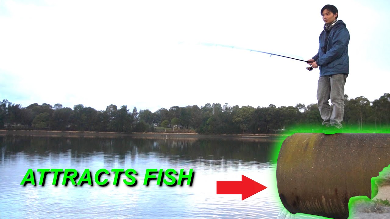 When The Drains Are Running, Fish Are Too! | Sydney Fishing - YouTube