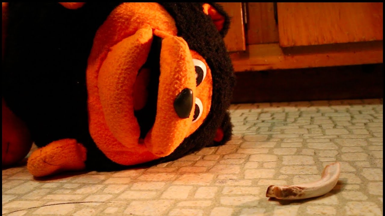 Fat Cat Has A Heart Attack!! Fur Face Puppets - YouTube