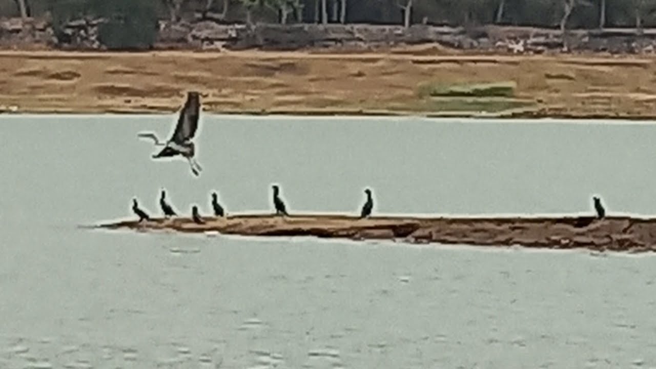 Nature Trail | Manipal Lake🌊, Udupi, Karnataka. 🏞 - YouTube