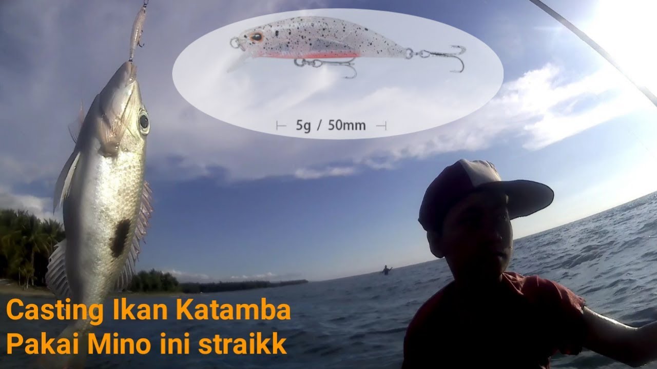 Ikan Katamba | Casting/ultralight | Minolureampuh - YouTube