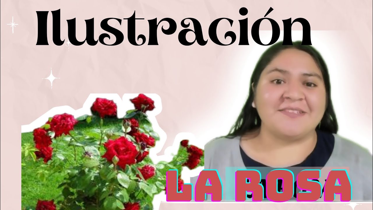 Ilustración la Rosa. Lis Montero - YouTube
