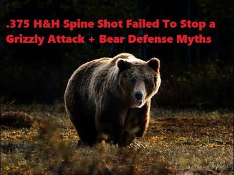 Guns and Tips for Bear Defense - YouTube
