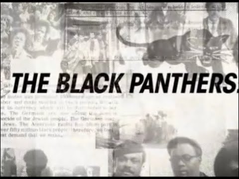 L'Histoire du BLACK PANTHERS
