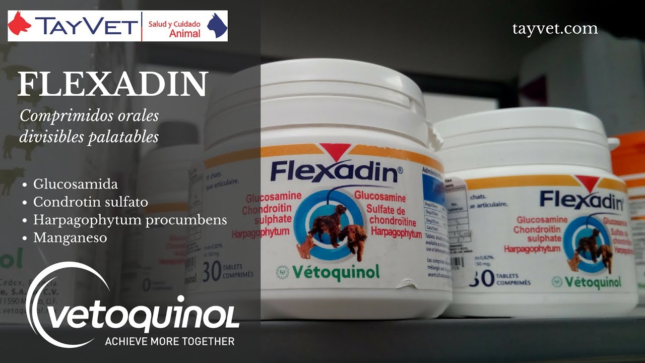Flexadin - Laboratorios Vetoquinol -Tayvet Distribuidora Veterinaria ...