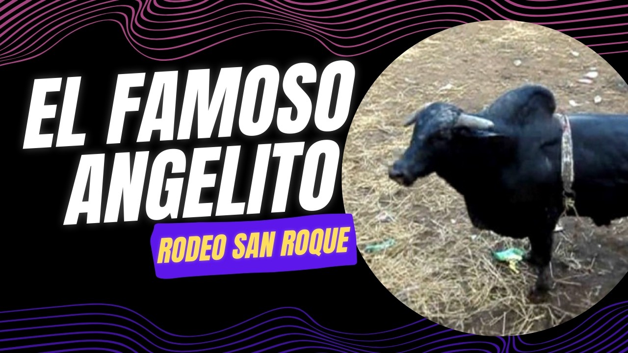 🎺🐂TORO EL ANGELITO // GANADERIA DENIS INCER🐂🎺 - YouTube