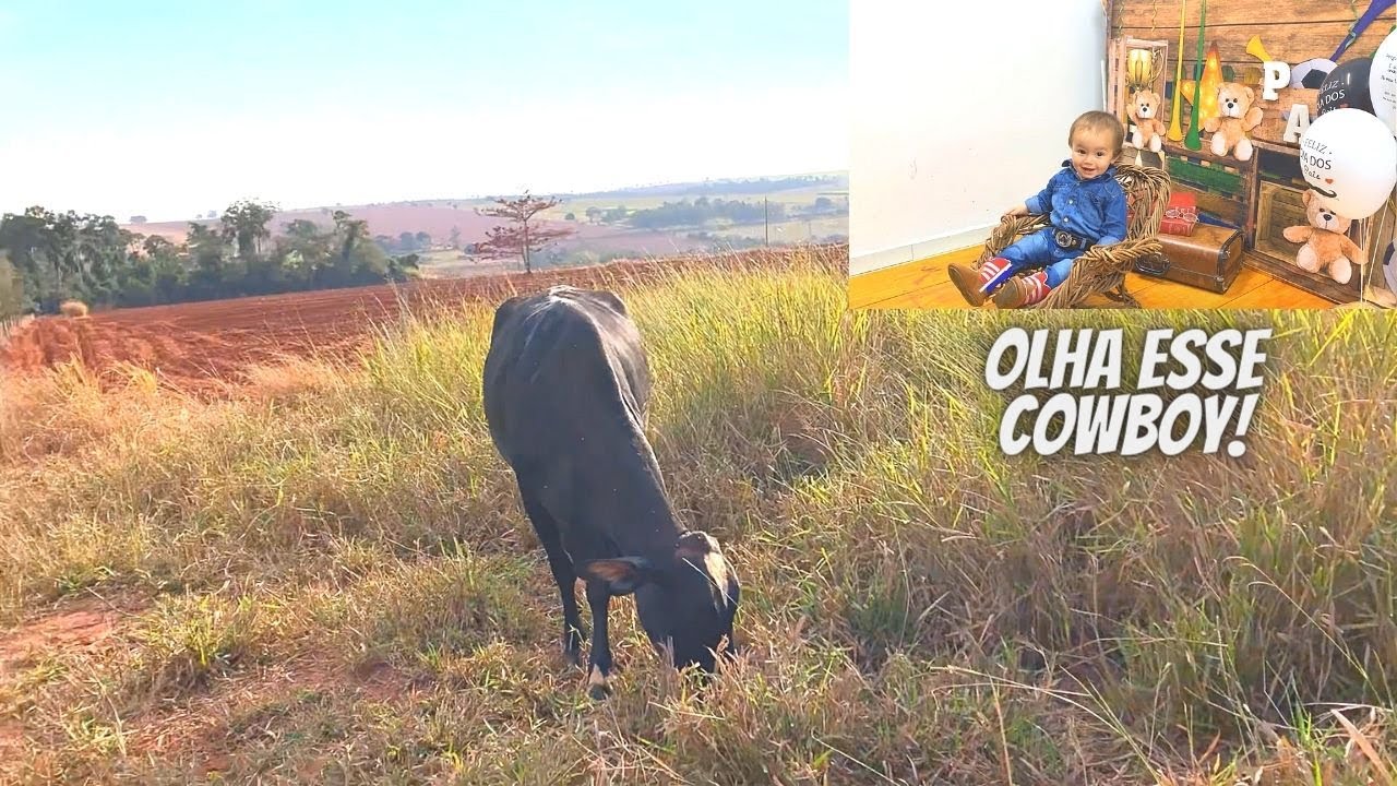 NOSSA VACA PANDORA NÃO VAI MAIS PRODUZIR LEITE 😓 - YouTube