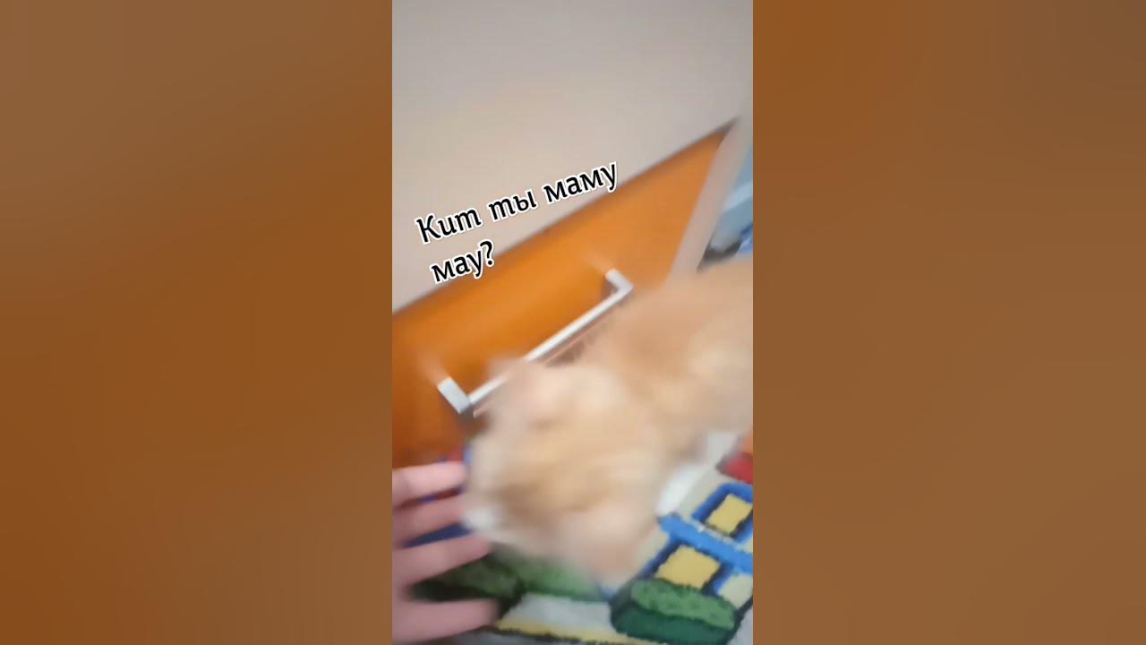 хочу в рек Youtube