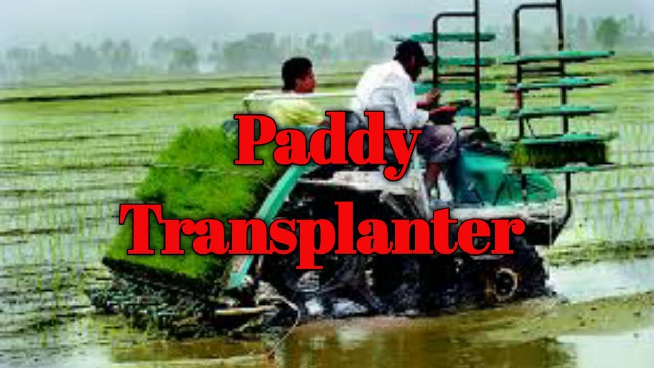 Paddy transplanter | धान रोपाई मशीन - YouTube