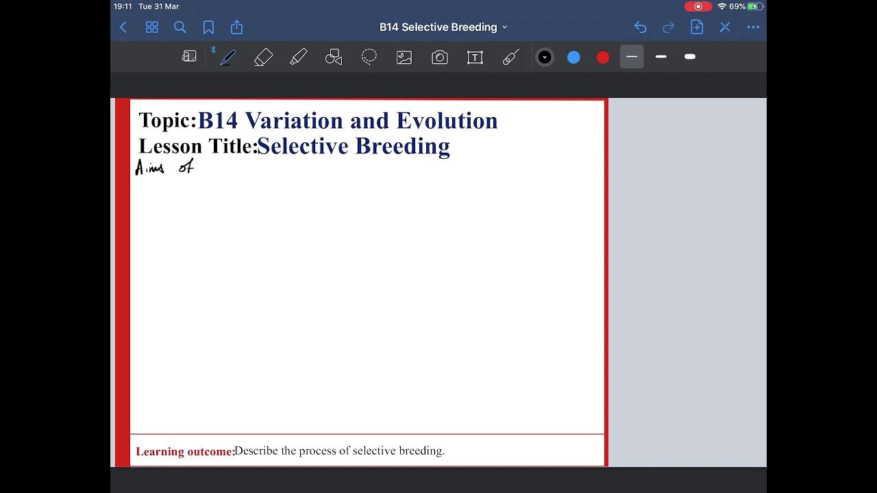 GCSE Biology (9-1) Selective Breeding - YouTube