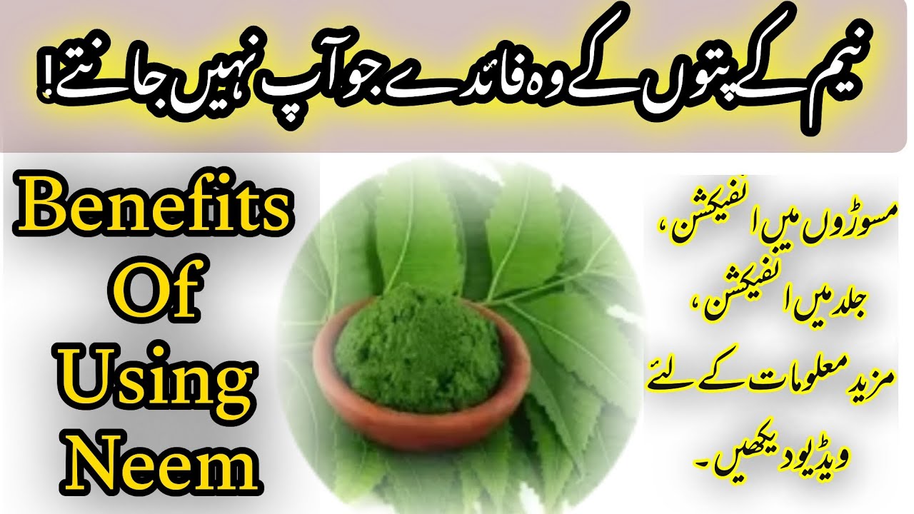 Neem k patto k faydy | نیم کے وہ فائدے جو کوئی نہیں جانتا! | Neem k ...