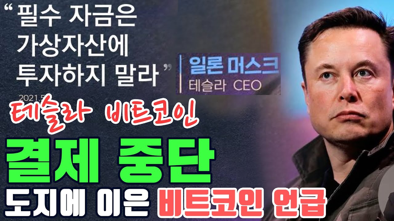 저점 기회 비트 30개 추가 매수 테슬라 일론 머스크 처단 비트코인 알트코인 급등 저점매수 기회 가상자산 업비트 빗썸 나스닥 코스피 삼성전자 인플레이션 리플 도지 이더리움