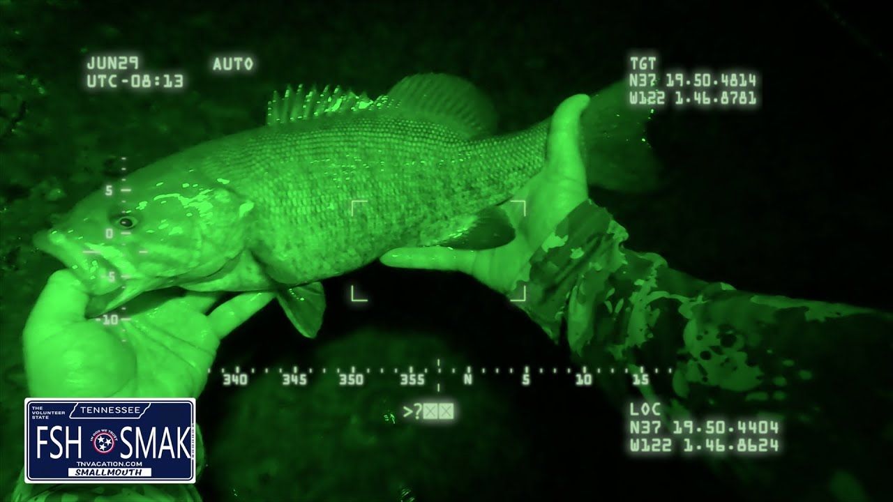 Early Spring Tennessee Creek Fishing under the Blood MOON. 🎣🌕 - YouTube