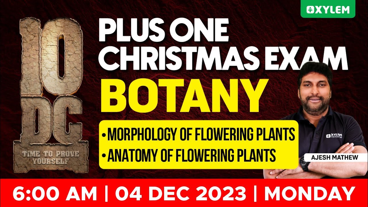 Plus One Christmas Exam - Botany - Day 4 | Xylem Plus One - YouTube
