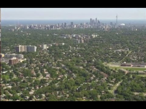 NetZero Means $$$ Urban Tree-planting Mania - YouTube
