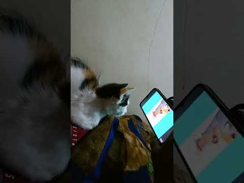 si bocil nonton YouTube