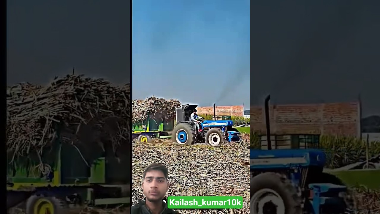 #safarslowed #tranding #trend #jatav #jatavno1 #trendingshorts # ...