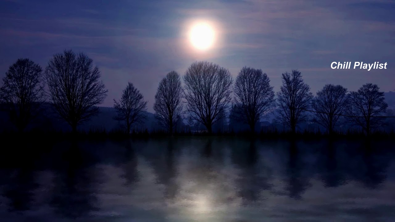Forest at Night Owl Sounds Cricket Sounds Lake Water Ambience - YouTube