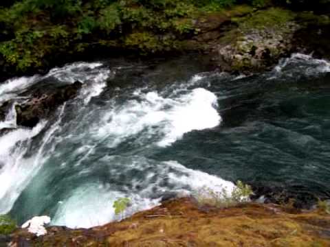 Duckabush River from the end of Ranger Hole Trail (3) - YouTube