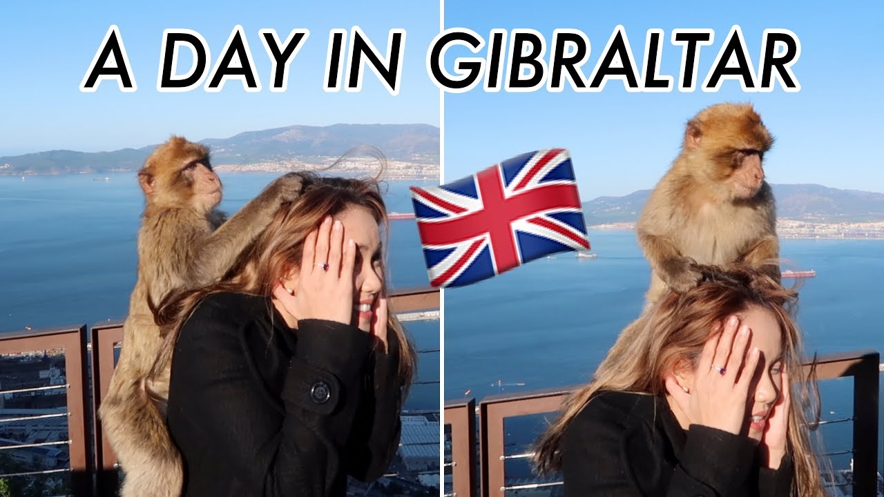 A day in Gibraltar, Great Britain (monkey jumped on me! lol) | Lovely ...