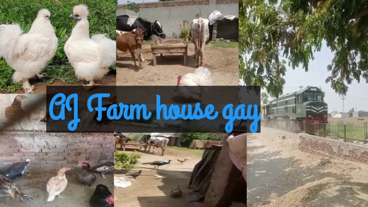 AJ Farm house gay 🏠 - YouTube