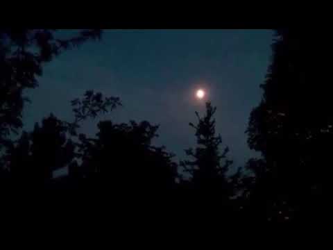 Status üçün video🥀 #qəmlistatuslar #statusvideo #qəmli #vhatsapstatusu #vhatsapp