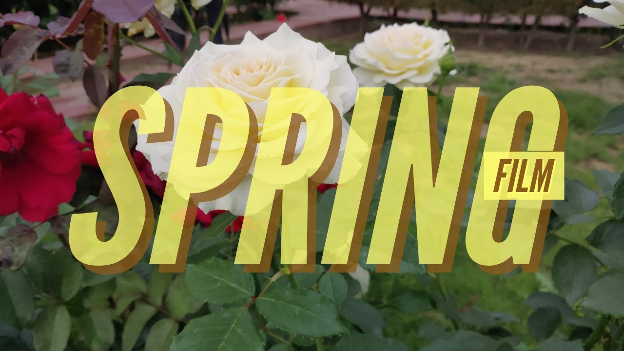 A SPRING FILM (4K) | MOBILE CINEMATOGRAPHY | SPRING SEASON | INDIA ...