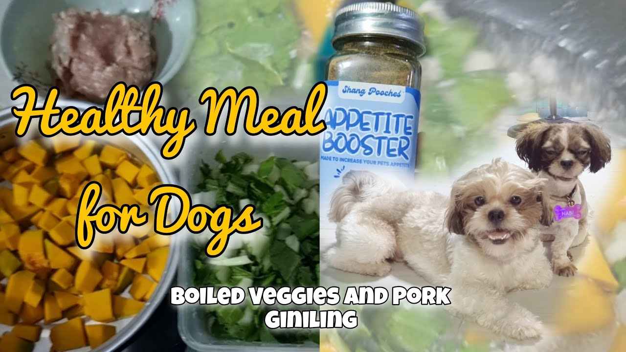 HEALTHY MEAL for Picky-eater Dogs | Appetite Booster From Shang Pooches ...
