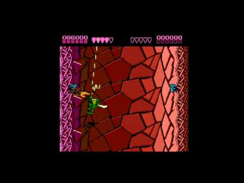NES Battletoads(USA) - Stage 2 - Wookie Hole - No Damage - YouTube