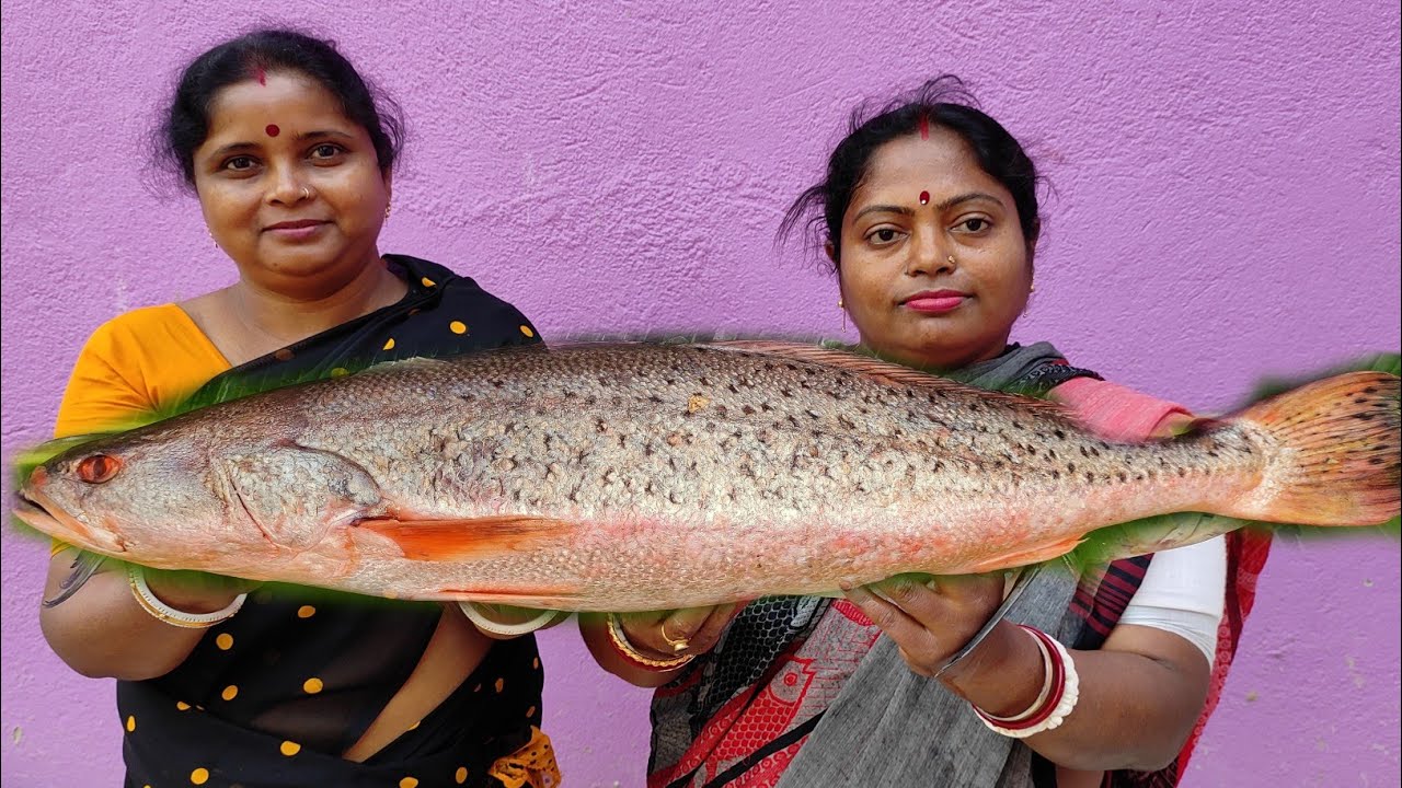 2 কিলো ওজনের বিশাল বাঘা ভোলার রেসিপি। Vola Mach ।Bengali fish recipe ...