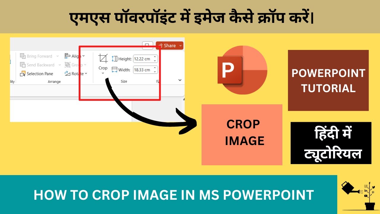 HOW TO CROP IMAGE IN PPT | CROP IMAGE POWERPOINT - YouTube