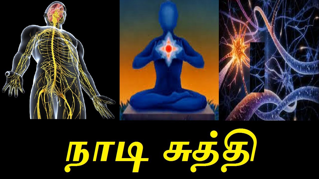 நாடி சுத்தி /nadi suddhi - Siththarkal Manthiram- Sithar- sithargal ...
