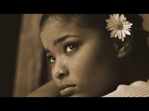 Purple Hibiscus Book Trailer