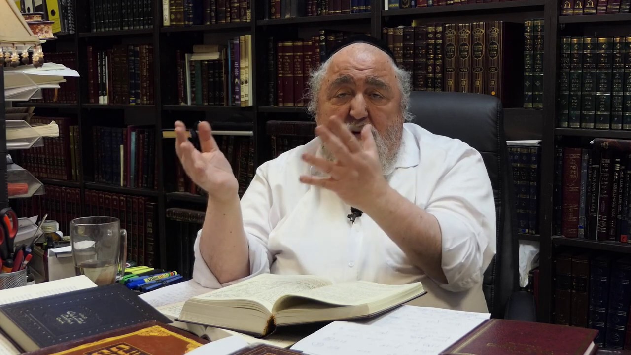 David Hamelech 6 - YouTube