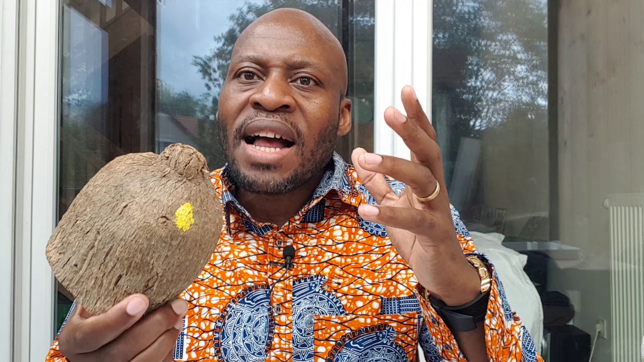 IGNAME: comment cultiver ,transformer , l'igname, l'igname culture très ...