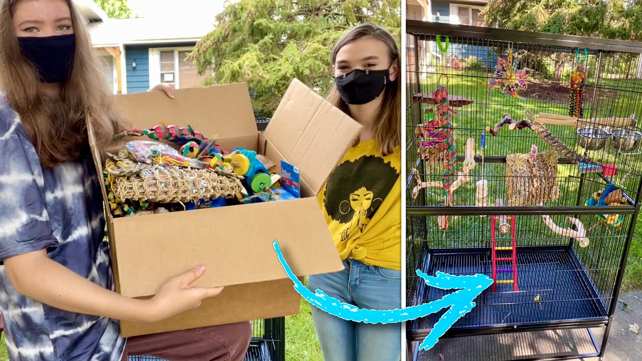Making this kid’s wish come true... | Elle’s Avian Essentials + cage ...