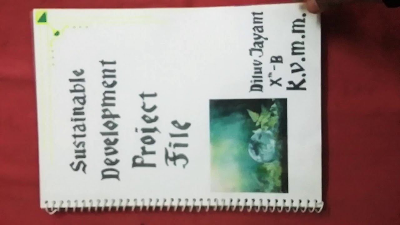 Sustainable development project class 10 (SUBSCRIBE TOO). - YouTube