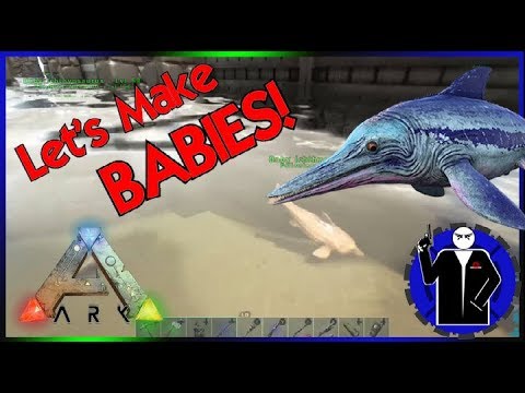 ARK Survival Evolved Baby Dolphins - YouTube